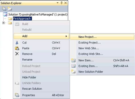 Exposing Native To Managed C CLI Vs P Invoke CodeProject