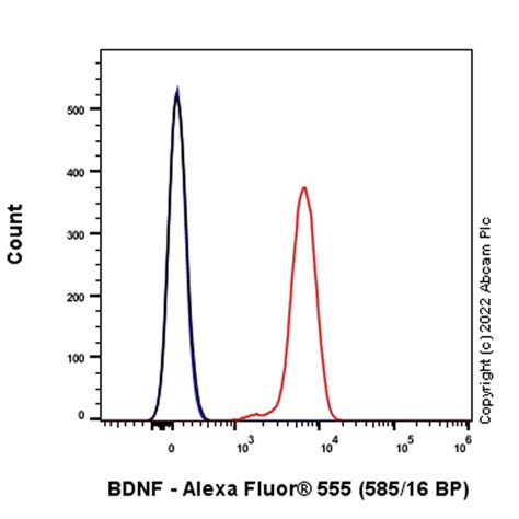 Anti Bdnf Alexa Fluor® 555 Antibody Epr1292 Ab305366 Igg Abcam