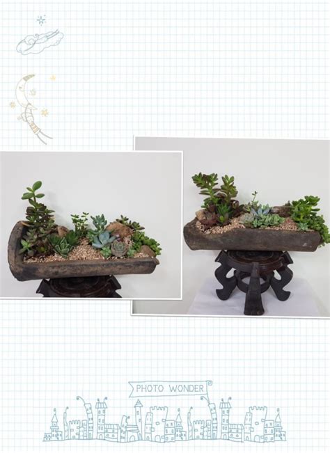 다육아트 기왓장가드닝 힐링되네요 네이버 블로그