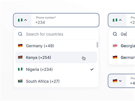 Phone Number Input Field Exploration 📱🔍 By Diana Palavandishvili On