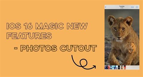 ios 16 photo cutout everything you need to know