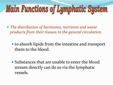 PPT LYMPHATIC SYSTEM PowerPoint Presentation Free Download ID 9588862