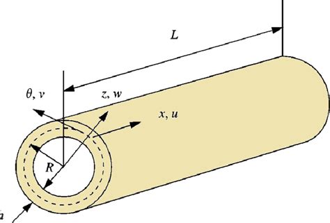 Figure 1 From Analysis Of The Size Dependent Wave Propagation Of A Single Lamellae Based On The