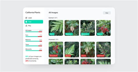 Overview Make A Pi Trash Classifier With Machine Learning And Lobe