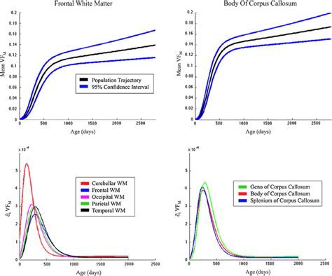 Top Row 95 Confidence Intervals For The Frontal White Matter And