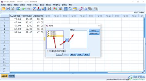 Spss如何标准化数据？ Spss软件标准化数据的方法 极光下载站