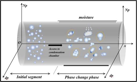 Coalescence Of Particles Under Water Vapor Condensation Download Scientific Diagram