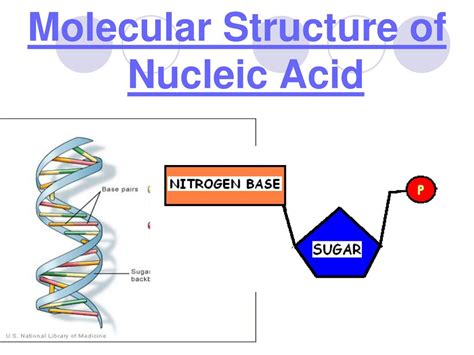 Macromolecules Ppt Download