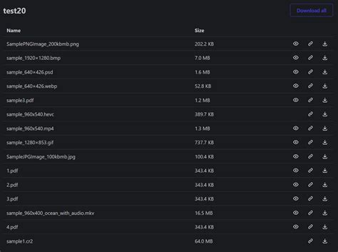 🚀 Feature Share View Ui Improvements · Issue 126 · Stonith404pingvin