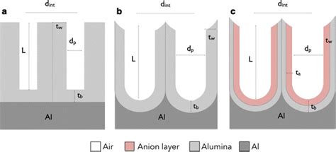 Schematic Cross Sections Of The Different Geometrical Models A First
