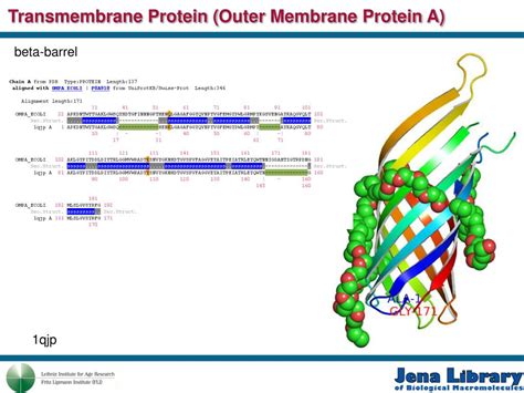 Ppt Jürgen Sühnel Jsuehnelfli Leibnizde Powerpoint Presentation Free Download Id3287664