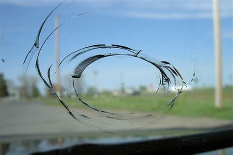 7 Most Common Types Of Windshield Cracks And What Should You Do