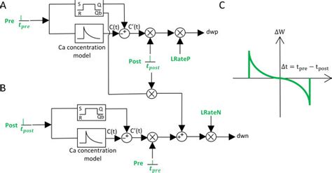 As A Spiking Learning Algorithm A Modified Form Of Stdp M Stdp Is