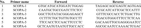 List Of Scar Markers Developed From Specific Rapd Markers On The Male