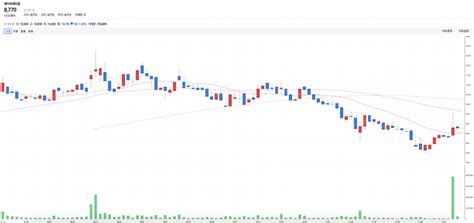 제이씨케미칼 주가 전망저평가 가치주