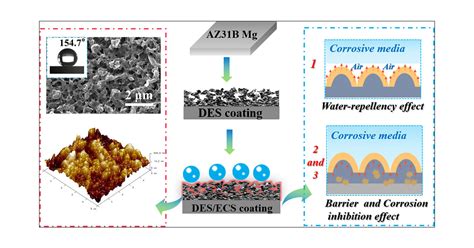 Eco Friendly Superhydrophobic Coupling Conversion Coating With Corrosion Resistance On Magnesium