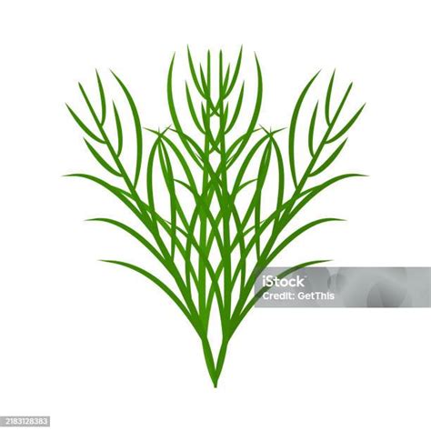 타라곤 한 다발 요리에 가장 좋은 15가지 허브로 구성된 내 컬러 플랫 세트의 일부입니다 흰색에 녹색 고기 생선 음료 및 칵테일용 허브 앱 디자인 웹 인터페이스 광고용 벡터