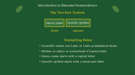 Asexual Reproduction Cloning Organisms Explained Biology Notes Online