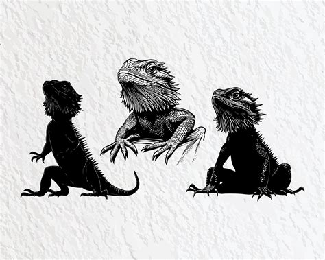 Bearded Dragon Silhouette Svg Bearded Dragon Svg Bundle Bearded