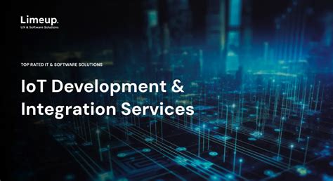 Expert Assistance In Iot Development