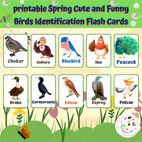 Printable Spring Cute And Funny Birds Identification Flash Cards Made