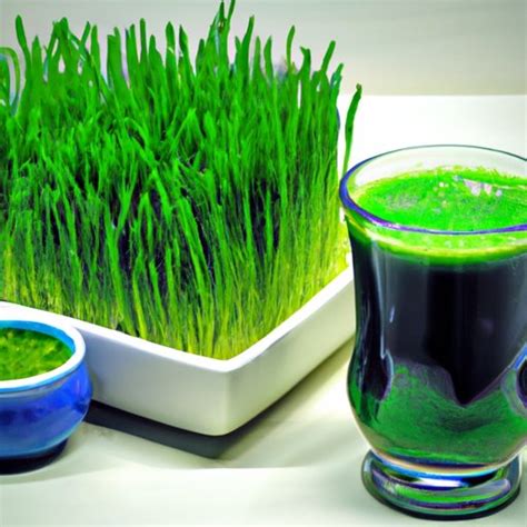 How To Eat Wheatgrass A Comprehensive Guide For Beginners The