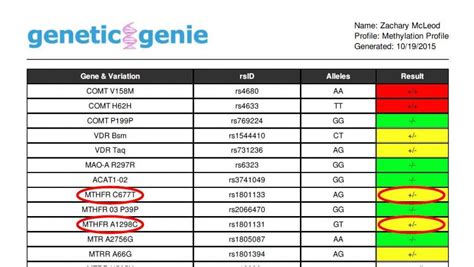 My Guide To Mthfr Gene Mutation Mthfr Testing And Treatment