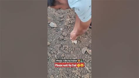 Coin Ka Tree 🌴😀😱 End Dekho🤫coin Youtubeshorts Shorts Youtube