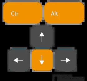 Microsoft Windows Inverted Screen
