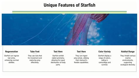 Exploring Echinoderms Fascinating Sea Creatures Ppt Example St Ai Ppt Powerpoint