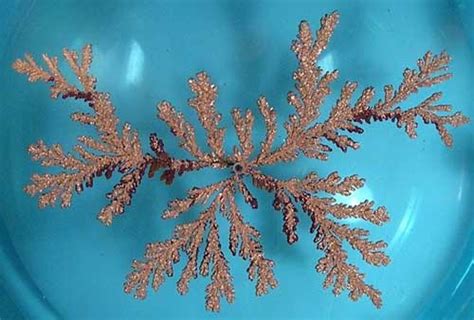 Diffusion Limited Aggregation