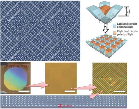 The Alignment Structure Of The Complex Ordered Lc Polymer Film Shows Download Scientific