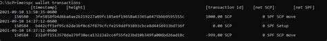 command line interface cli wallet setup windows scprime cloud storage