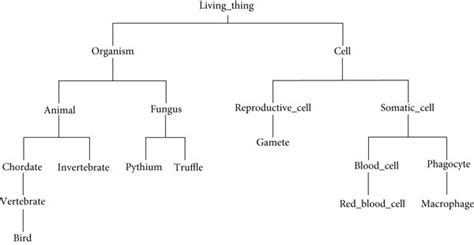 Example Of Hierarchy Extracted From The Knowledge Basetaxonomy