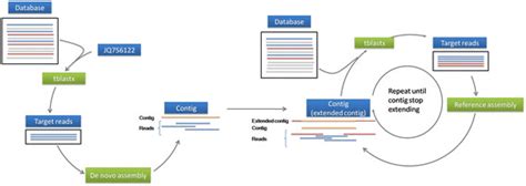 Schematic Presentation Of The Sequence Assembly Procedures Download Scientific Diagram