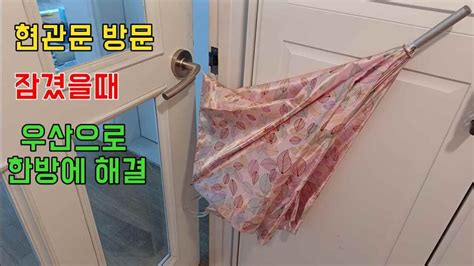 현관중문 방문 욕실문 잠겼을때 우산으로 한방에 이것저것 다해봐도 안될때 Youtube