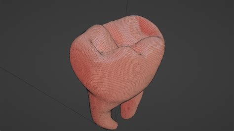 The Human Upper Molar 3d Model Cgtrader
