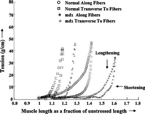 Length Tension Relationships Along And Transverse To The Direction Of