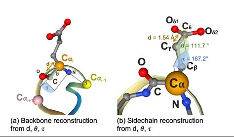 Internal Coordinate Based Reconstruction A Backbone Atoms Ni Ci Are Download Scientific