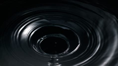 Wolf Brand Movie on Behance