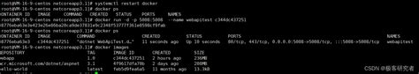将asp net core部署到docker中 以容器的方式运行 docker cmd命令安装aspnetcore CSDN博客