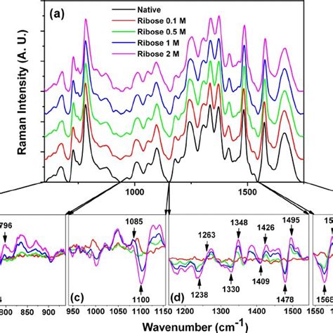 A Normalized Mean Raman Spectra Of Native Dna Black And Glycated