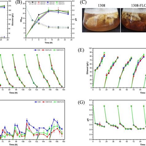 Pdf Engineering Saccharomyces Cerevisiae For Improved Biofilm Formation And Ethanol Production