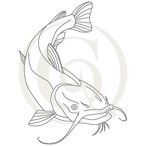 Flathead Catfish Drawing At Explore Collection Of