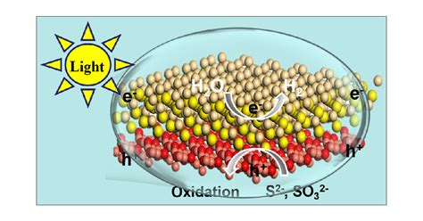 S Scheme Heterojunctions Between Nanoparticles Of Cd08mn02s And Cu2o For Photocatalytic