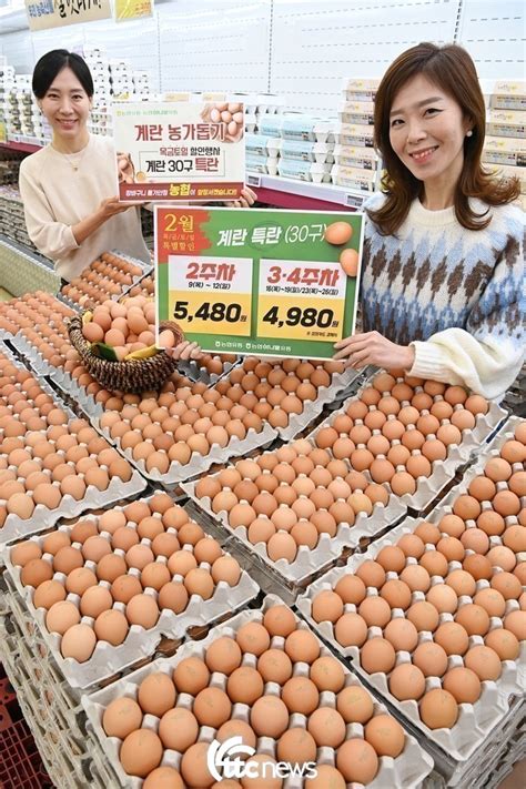 농협유통 계란 농가 돕기 특란 할인 판매