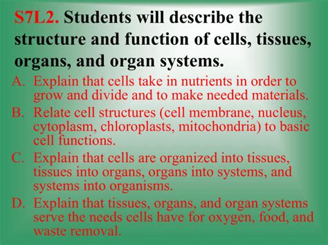 Cell Structure Function