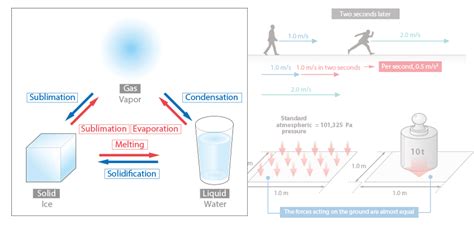 Cradle CFD Smart Multiphysics Focused CFD Simulation Hexagon