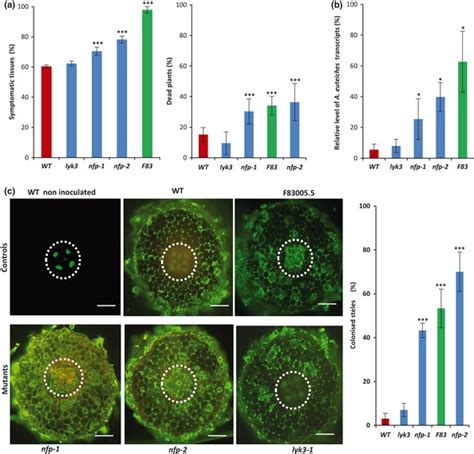 Aphanomyces Euteiches Than Medicago Truncatula Wildtype Wt Plants