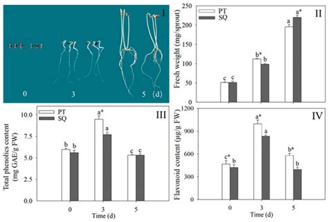 Physiology And Metabolism Alterations In Flavonoid Accumulation During